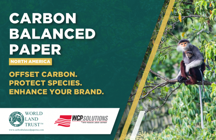 Celebrate Earth Day by Reducing your Carbon Impact, One Ream of Paper ...