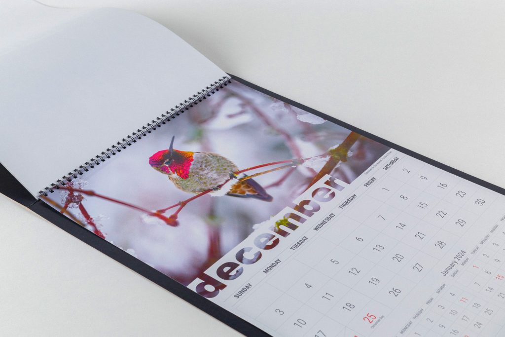 INSPER M Paper: An Alternative to High-End Text and Cover - WCP Solutions