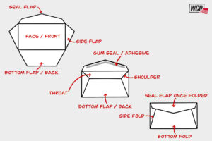 The Anatomy of an Envelope - Envelope 101 - WCP Solutions